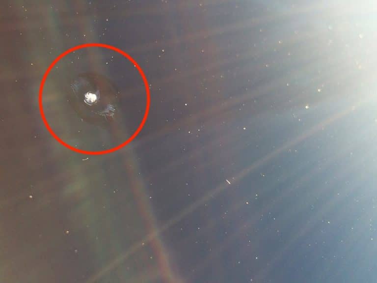 5 Best Windshield Chip Repair Kit to Fix a Spider Crack