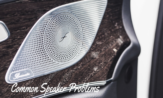 10 Common Speaker Problems & Their Solutions [SOLVED]