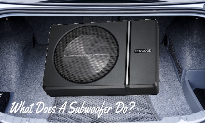 What Does A Subwoofer Do? The World of Bass Reflex Speakers